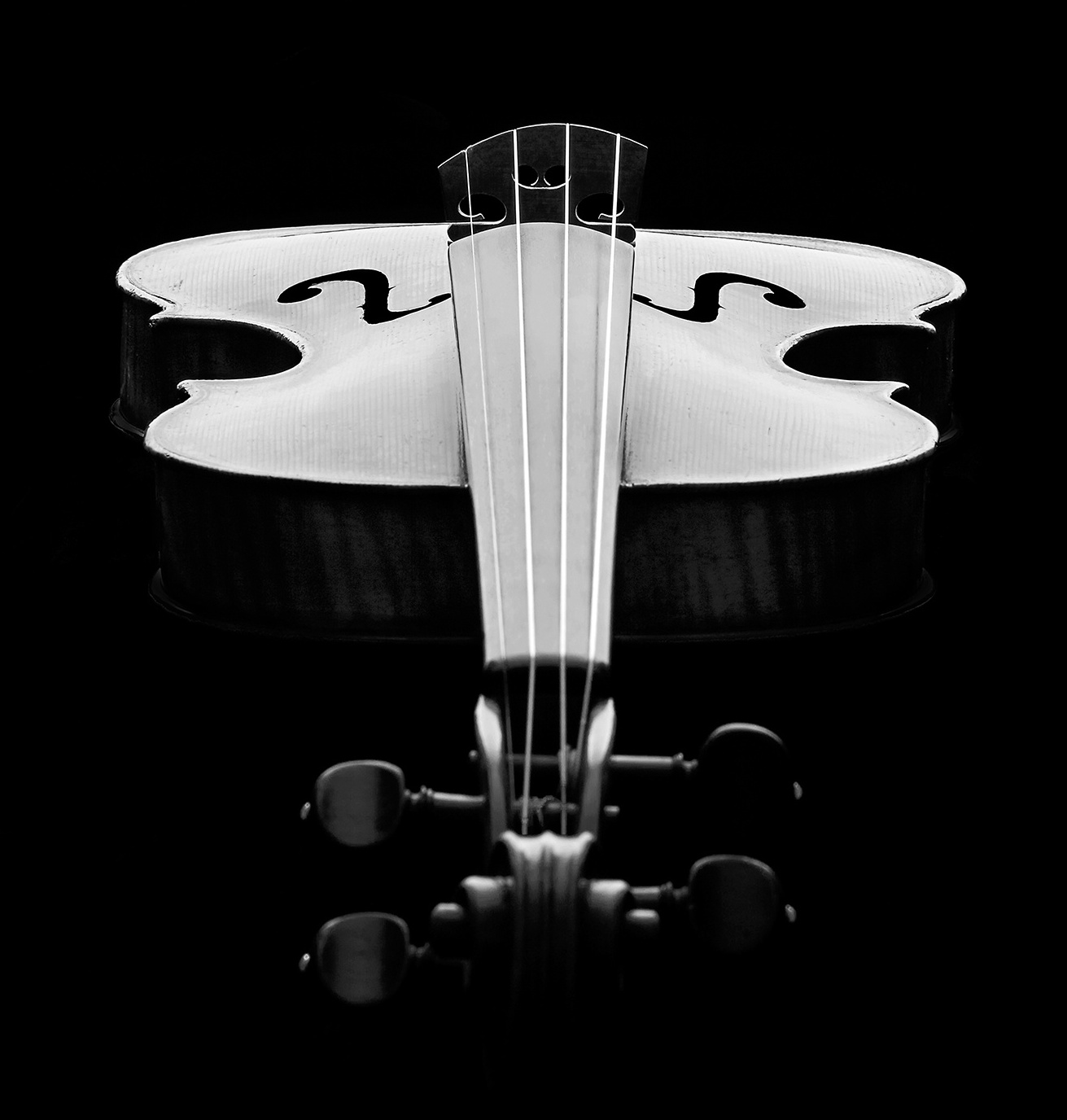 String Theory Violins | Services - Services for Violin, Viola, Cello ...
